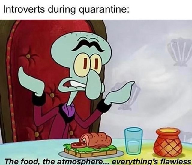 Introverts during quarantine: - iFunny