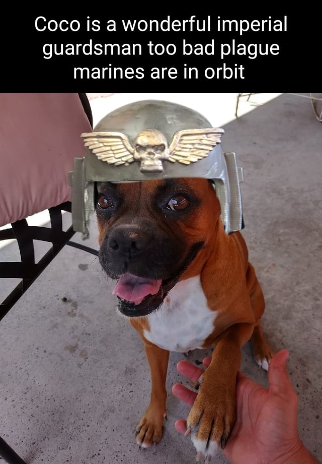 Coco is a wonderful imperial guardsman too bad plague marines are in ...