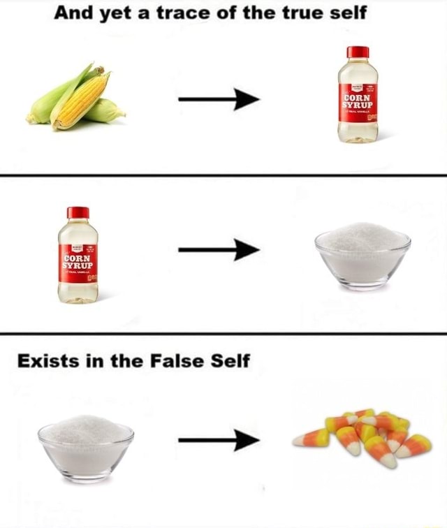 And Yet A Trace Of The True Self Ii OR Exists In The False Self IFunny and-yet-a-trace-of-the-true-self-ii-or-exists-in-the-false-self-ifunny