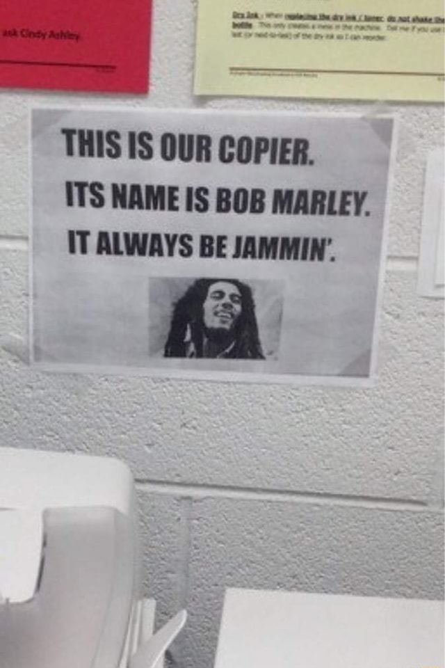 THIS IS OUR COPIER. ITS NAME IS BOB MARLEY. IT ALWAYS BE JAMMIN'. - iFunny