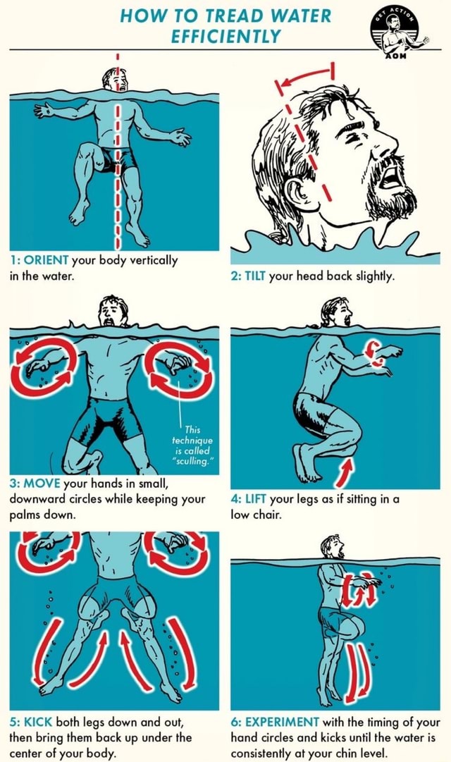 HOW TO TREAD WATER EFFICIENTLY 1: ORIENT your body vertically in the ...