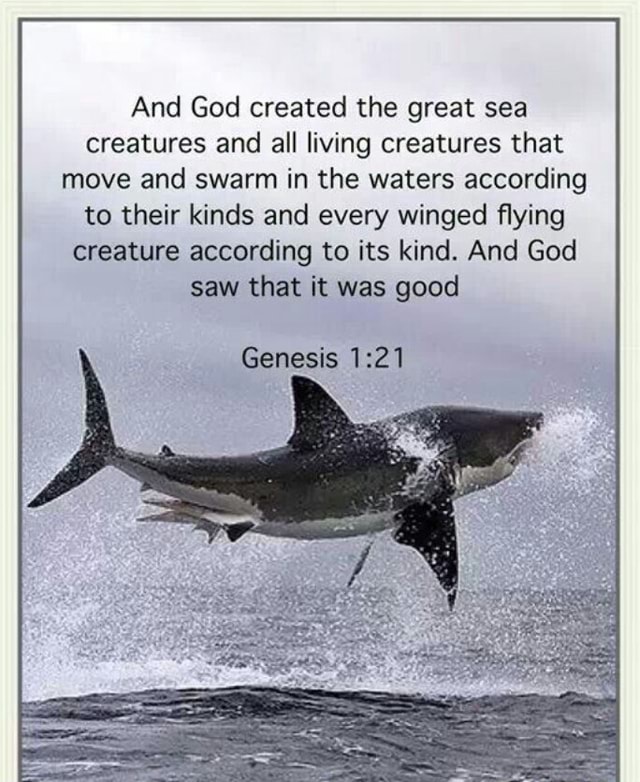 And God created the great sea creatures and all living creatures that ...