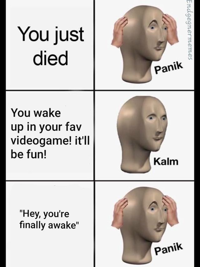 You just died You wake up in your fav videogame! it'll be fun! finally ...
