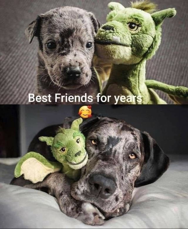 Bast Friends for years - America’s best pics and videos