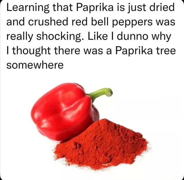 Learning that Paprika is just dried and crushed red bell peppers was ...