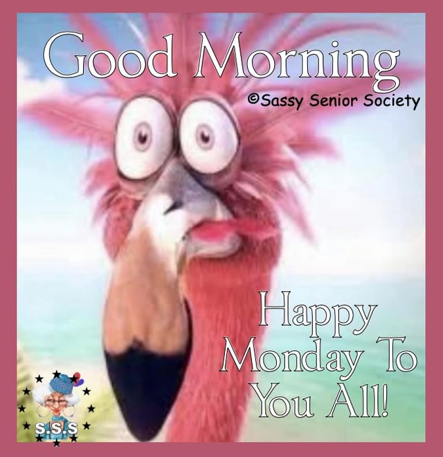 Happy Monday Face! @Sassy Senior Society SASy ~K - _Good Morning nn ...