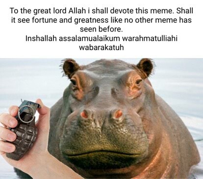 To the great lord Allah i shall devote this meme. Shall it see fortune ...