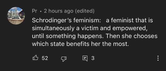 Pr 2 Hours Ago Edited Schrodingers Feminism A Feminist That Is Simultaneously A Victim And