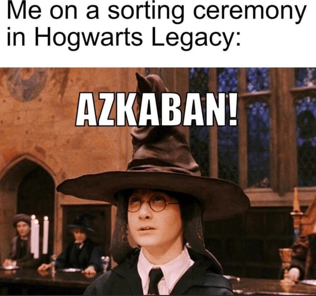 Vie on a sorting ceremony in Hogwarts Legacy: AZKABAN! - iFunny