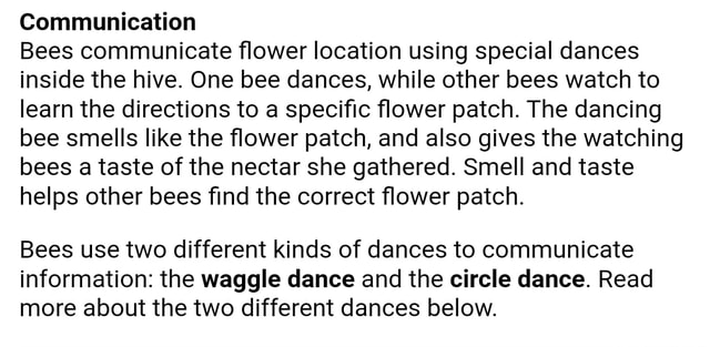 Communication Bees communicate flower location using special dances ...
