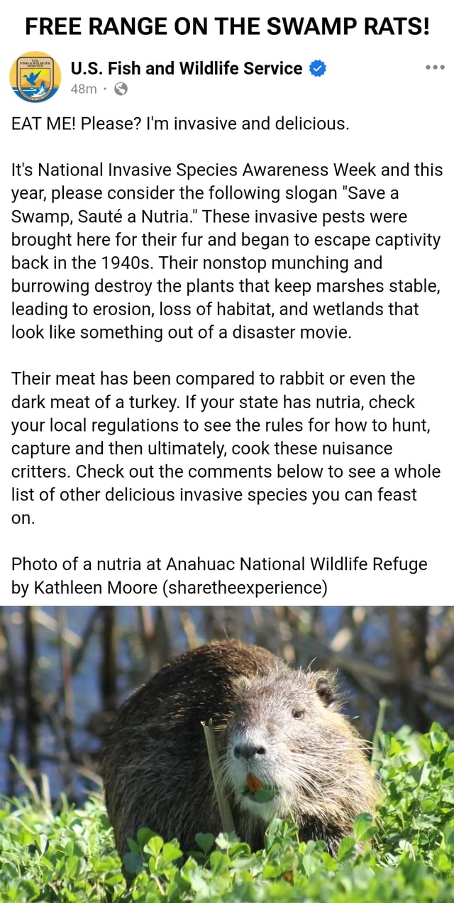 FREE RANGE ON THE SWAMP RATS! U.S. Fish and Wildlife Service @ oee cA ...