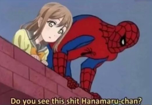 Do you see this shit Hanamaru-chan?, - iFunny