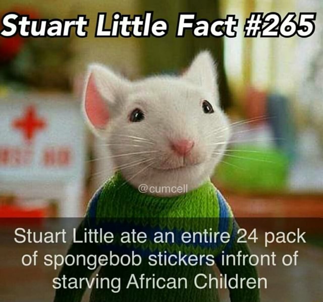 Stuart Little ate an entire 24 pack of spongebob stickers infront of ...