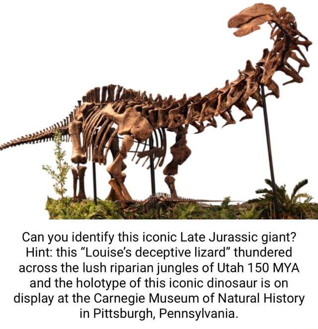Can you identify this iconic Late Jurassic giant? Hint: this "Louise's ...