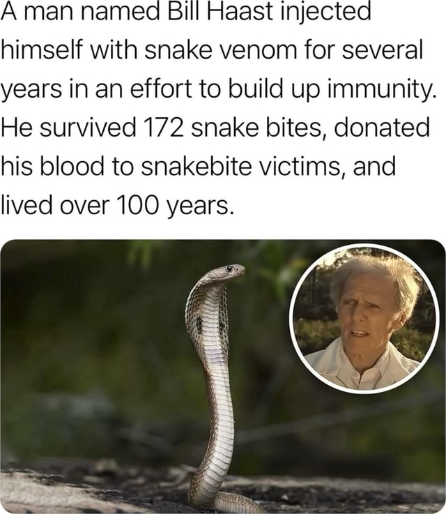 A man named Bill Haast injected himself with snake venom for several ...