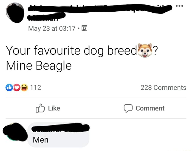 May 23 at 03:17 Your favourite dog breed%;*? Mine Beagle Men - iFunny
