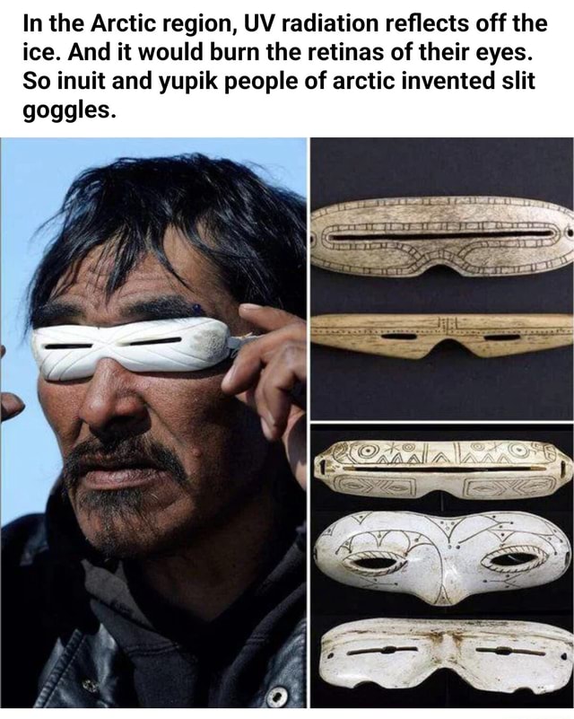 In the Arctic region, UV radiation reflects off the ice. And it would ...