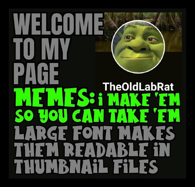 PAGE MEME SO YOU CAN TAKE 'EM LARGE FONT MAKES THEM READABLE iN ...