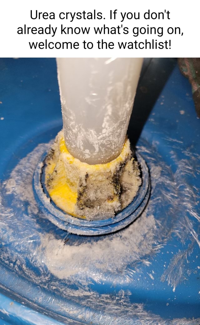 Urea crystals. If you don't already know what's going on, welcome to ...