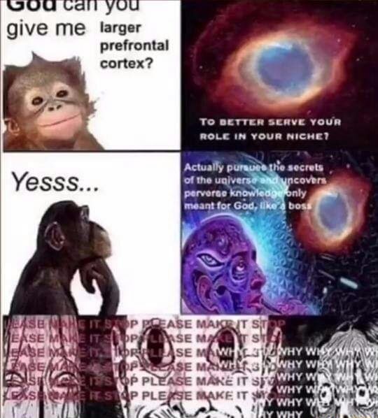 Give me larger prefrontal cortex? To BETTER SERVE YouR ROLE IN YOUR ...