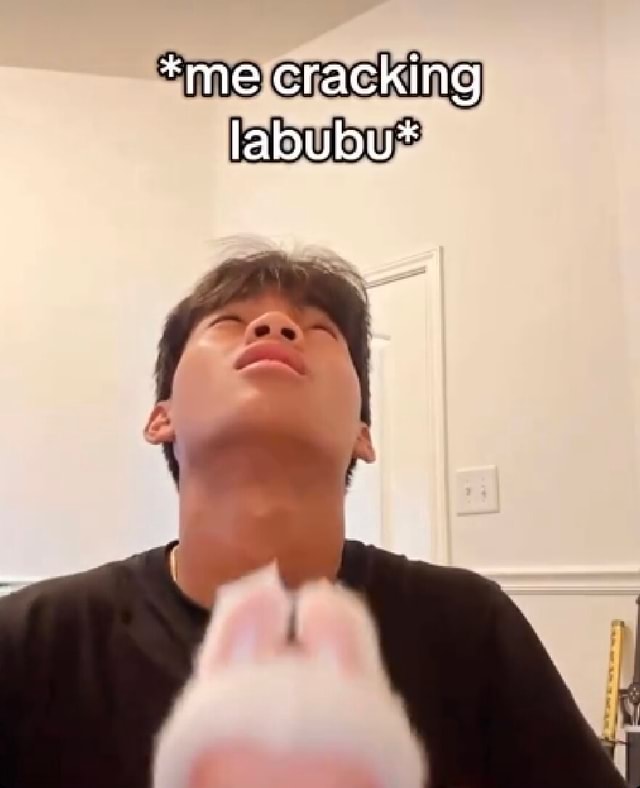 *me cracking labubu* - iFunny