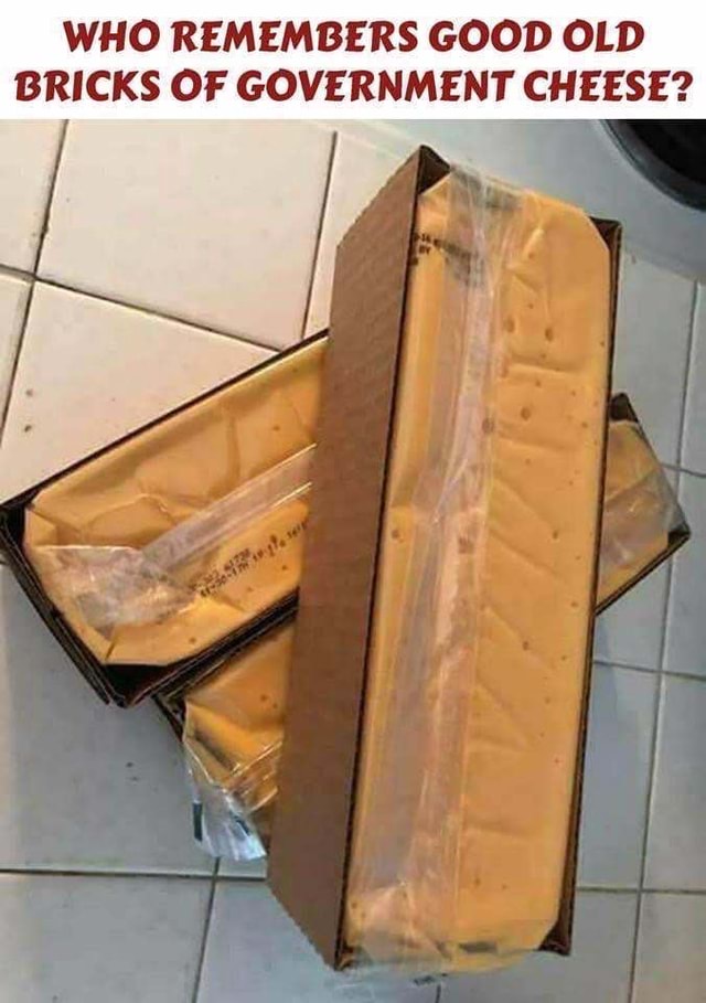 WHO REMEMBERS GOOD OLD BRICKS OF GOVERNMENT CHEESE? - America’s best ...