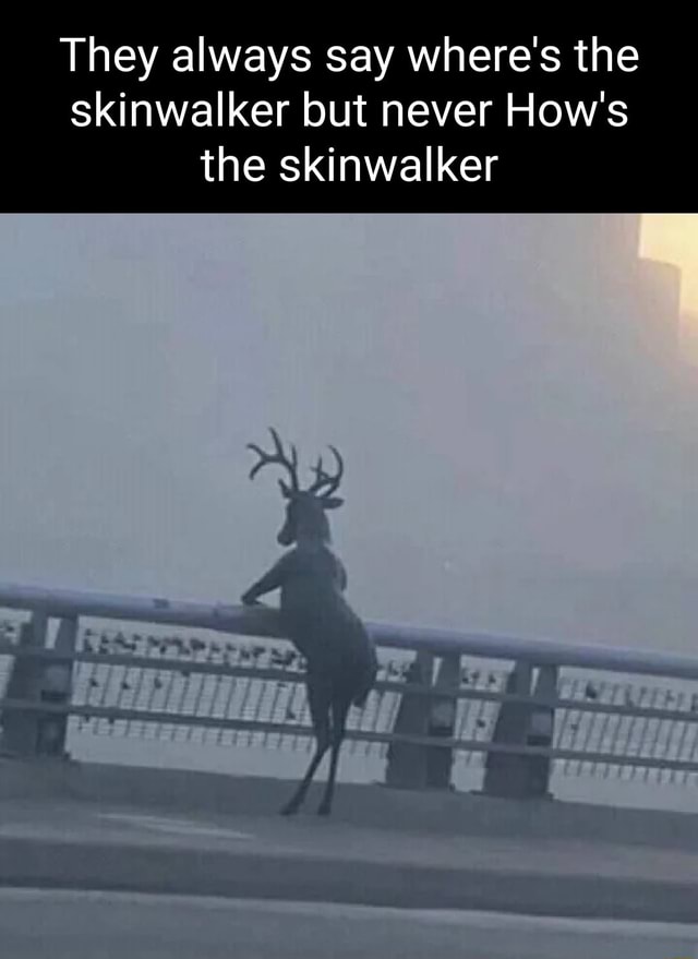 They always say where's the skinwalker but never How's the skinwalker ...