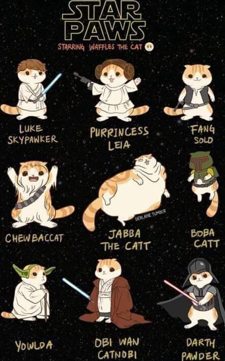 AWS) STARRING WAFFLES THE CAT ESS FANG SKYPAWKER, PuRRINCESS SoLD ACC ...