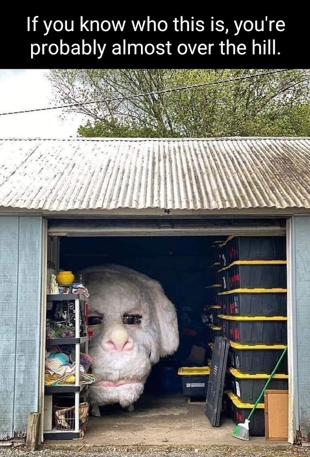 If you know who this is, you're probably almost over the hill. - iFunny