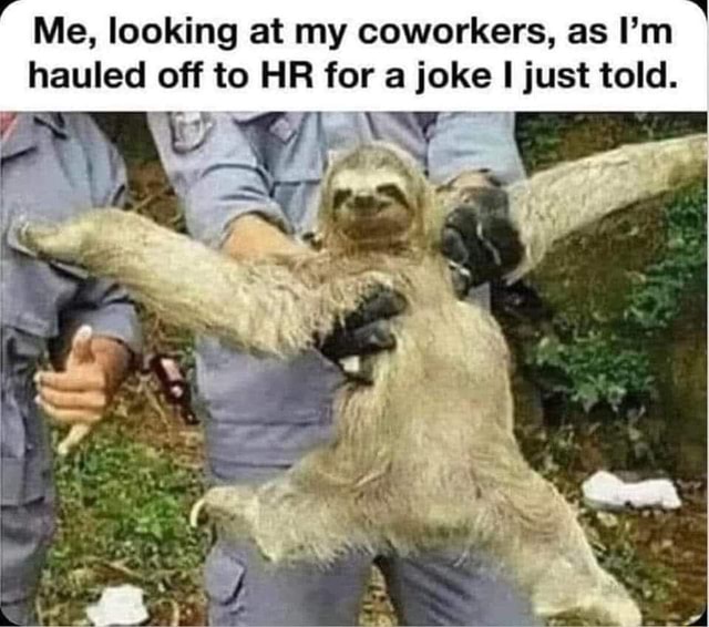 Me, looking at my coworkers, as I'm hauled off to HR for a joke I just ...