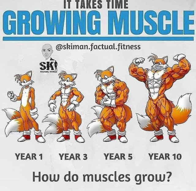 Muscle Growth Memes