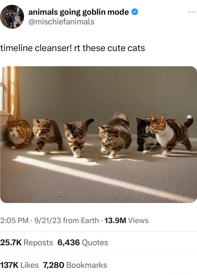 Animals going goblin mode @mischiefanimals timeline cleanser! rt these ...