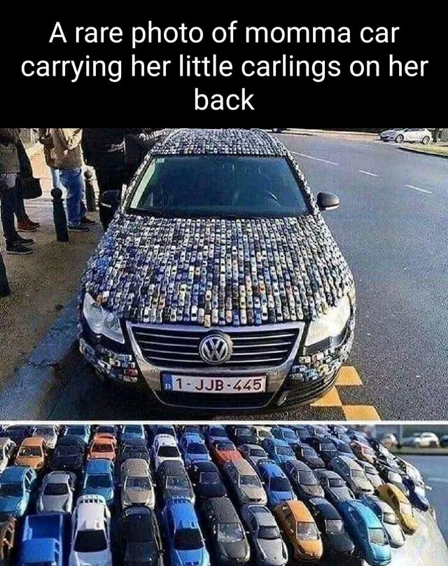 A rare photo of momma car carrying her little carlings on her back - iFunny