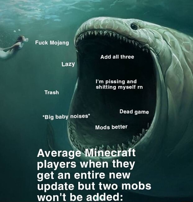 We Add all three Fuck Mojang Lazy I'm pissing and shitting myself rn ...