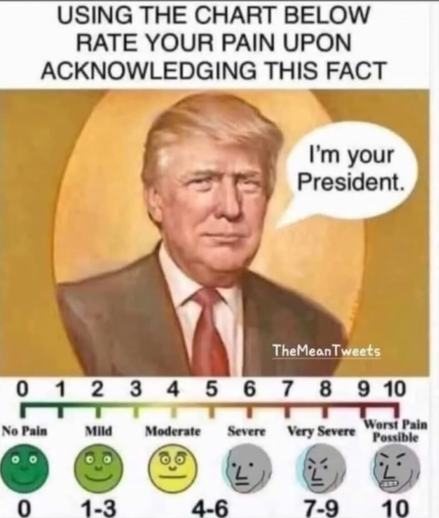 USING THE CHART BELOW RATE YOUR PAIN UPON THIS FACT I'm your President ...