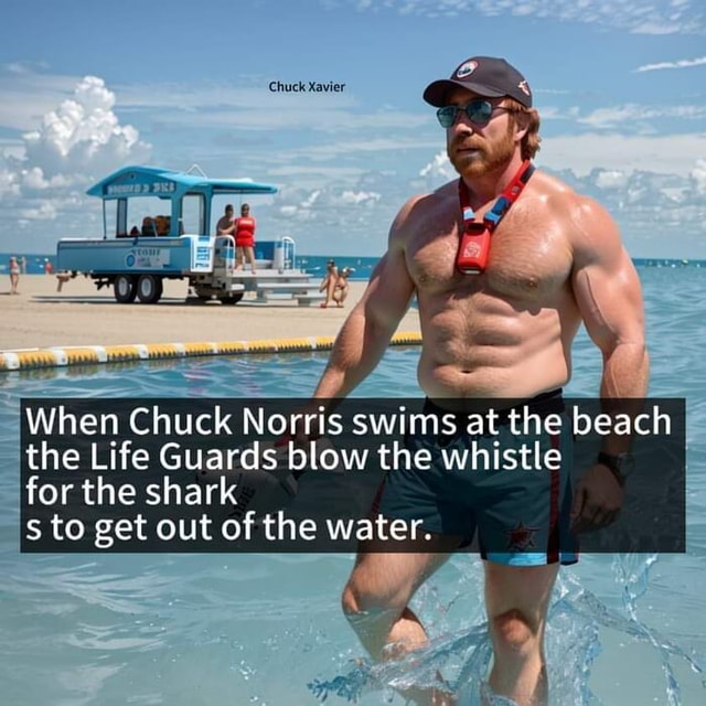 Chuck Xavier When Chuck Norris swims at the beach the Life Guards blow ...