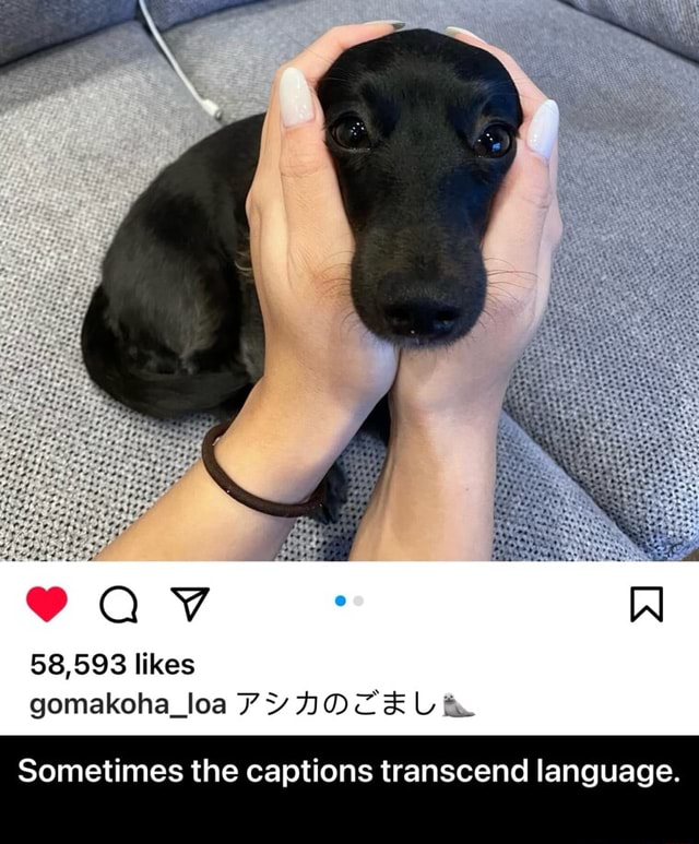 Al likes gomakoha_loa Sometimes the captions transcend language ...