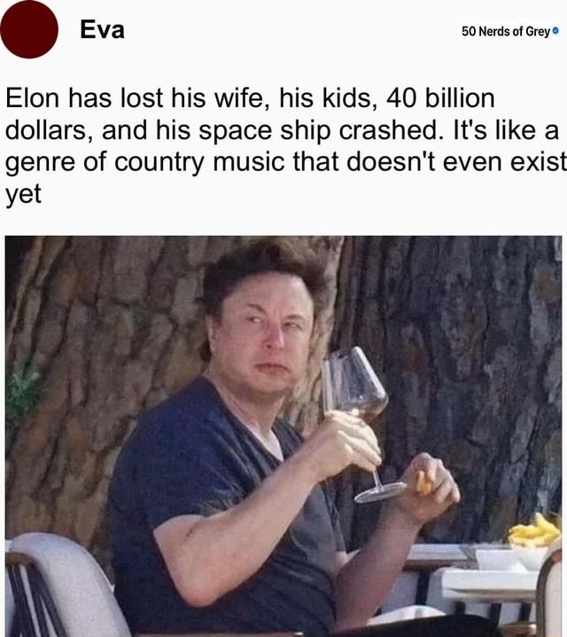 50 Nerds of Grey Elon has lost his wife, his kids, 40 billion dollars ...