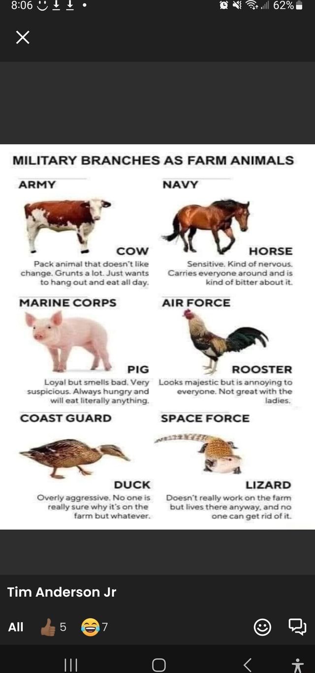MILITARY BRANCHES AS FARM ANIMALS ARMY - dl cow Pack animal that doesn ...