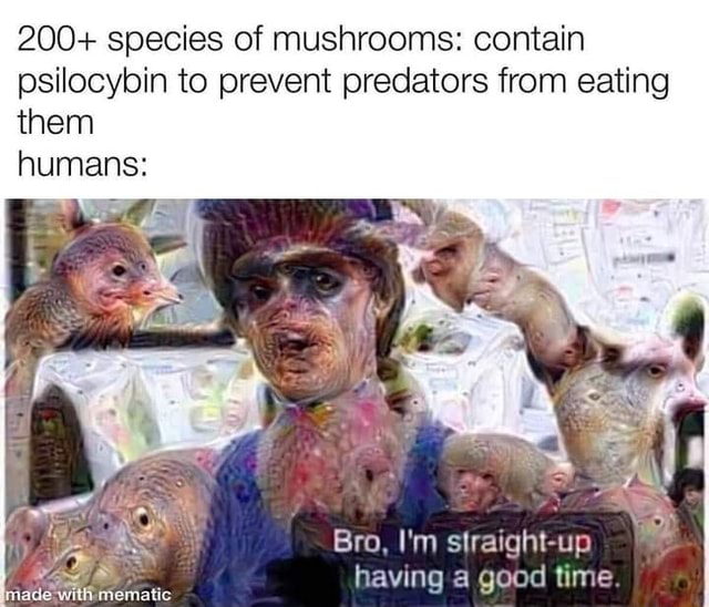 200+ species of mushrooms: contain psilocybin to prevent predators from ...
