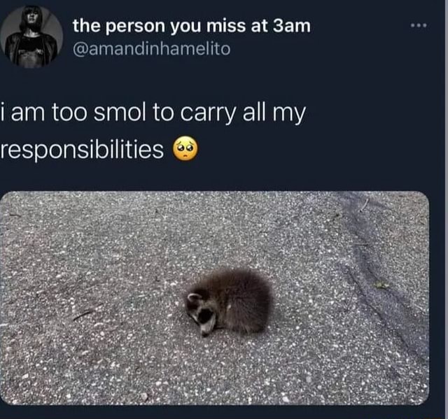 The person you miss at Sam iam too smol to carry all my ...