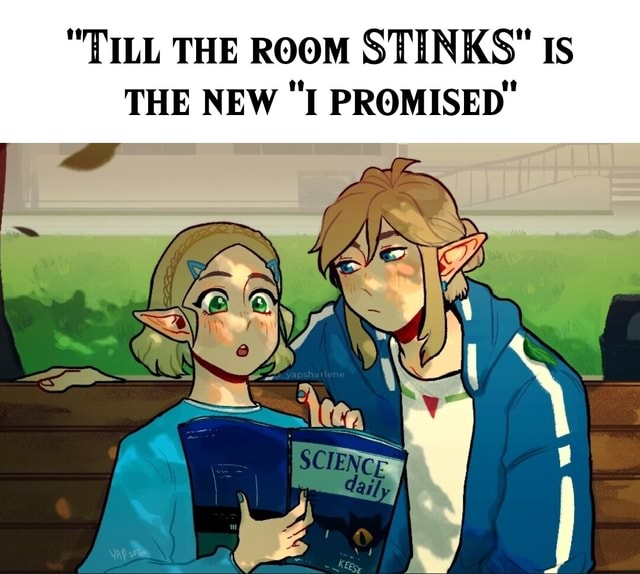 "TILL THE ROOM STINKS" Is THE NEW "I PROMISED' - iFunny