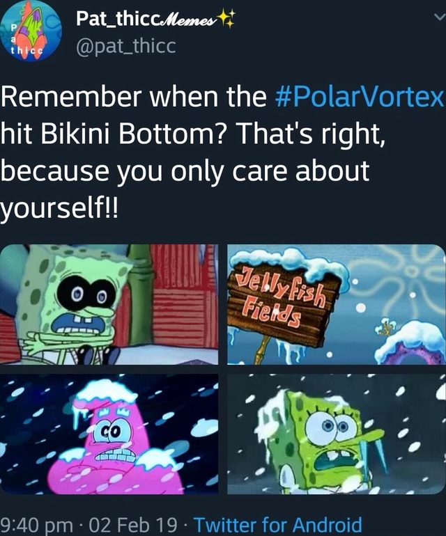 Pat_thicc Memes} @pat_thicc Remember when the #PolarVortex hit Bikini ...