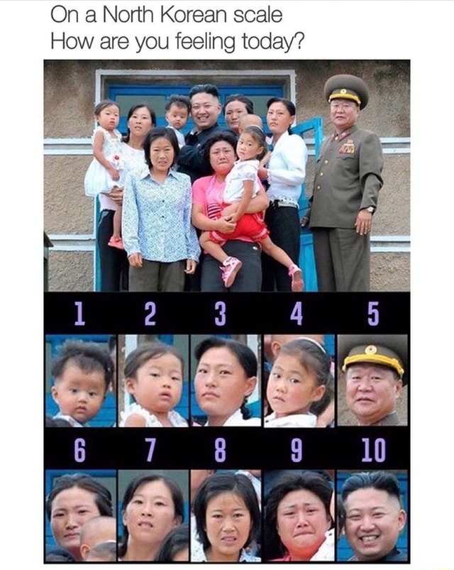 On a North Korean scale How are you feeling today? - iFunny