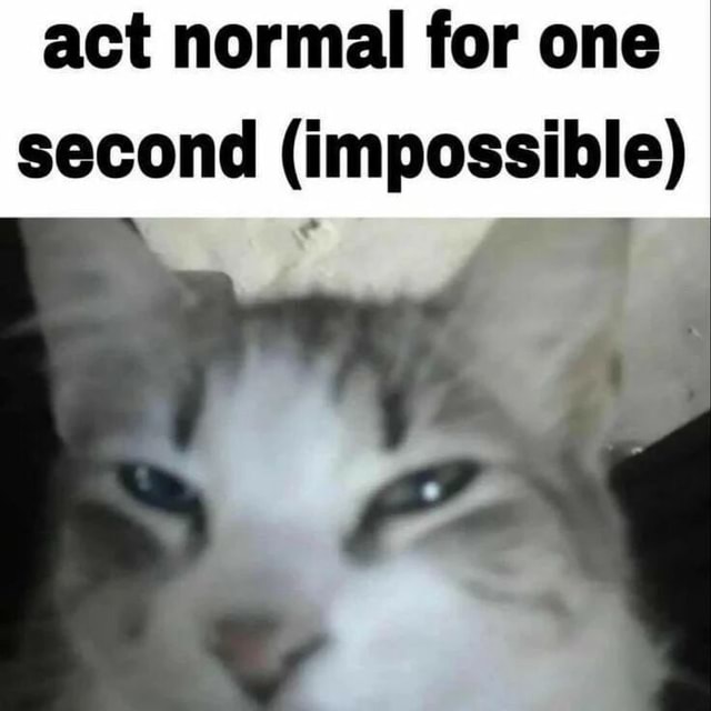 Act normal for one second (impossible) - iFunny