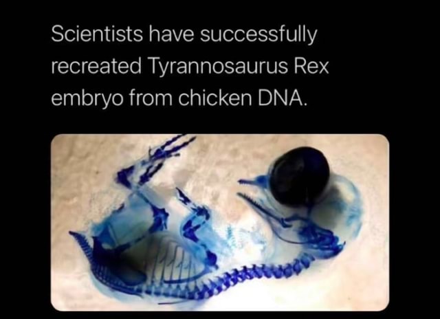 Scientists have successfully recreated Tyrannosaurus Rex embryo from ...