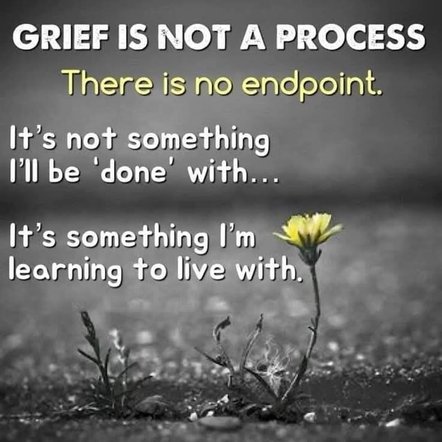 GRIEF IS NOT A PROCESS There is no endpoint. It's not something be ...
