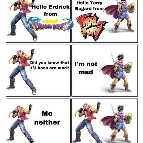 Hello Terry Bogard from, € Did you know that 1/3 hoes are mad? mad Me ...