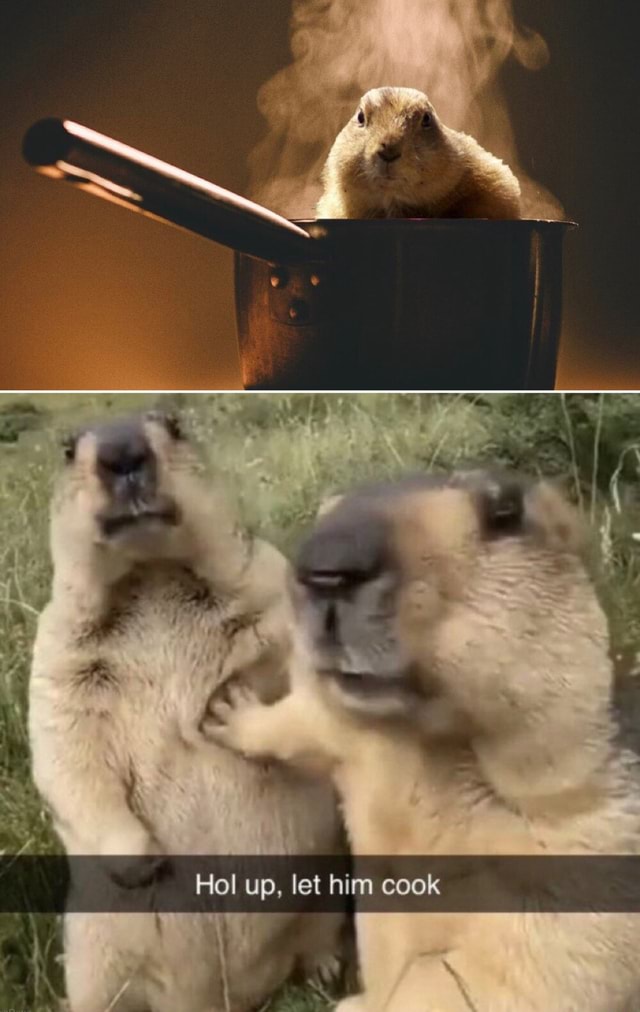 Hol up, let him cook I re - iFunny