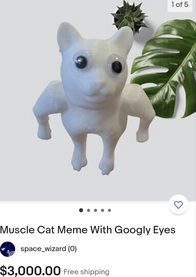 @eeee Muscle Cat Meme With Googly Eyes space_wizard (0) $3,000.00 Free ...